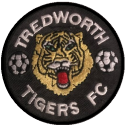 CAFL - Tredworth Tigers II